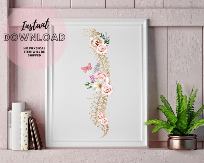 Spinal Column Vertebra Anatomy Poster Physical Gift Chiropractic Office ...