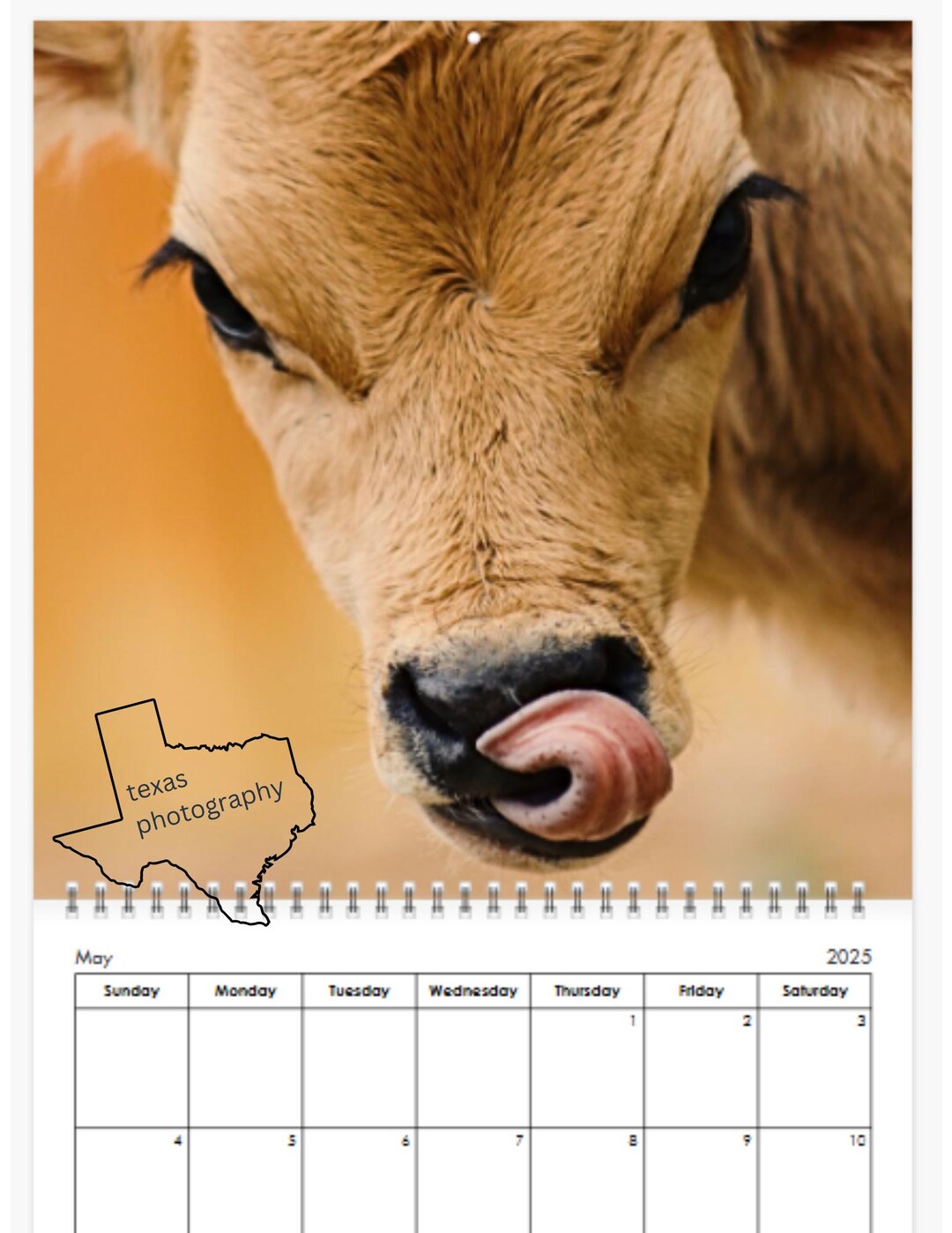 2025 Calendar | Hanging Calendar | Horse Calendar | New Year's Gift ...