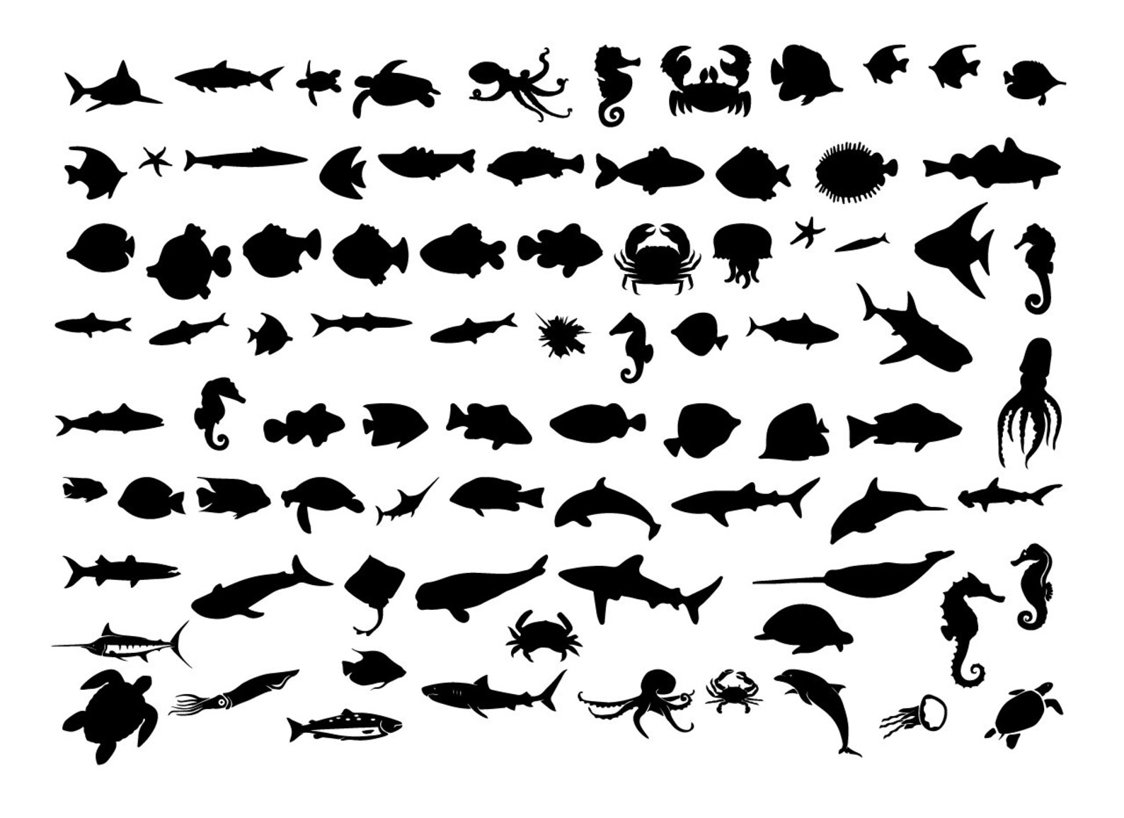 Ocean Animal Bundle Octopus SVG PNG DXF - Etsy