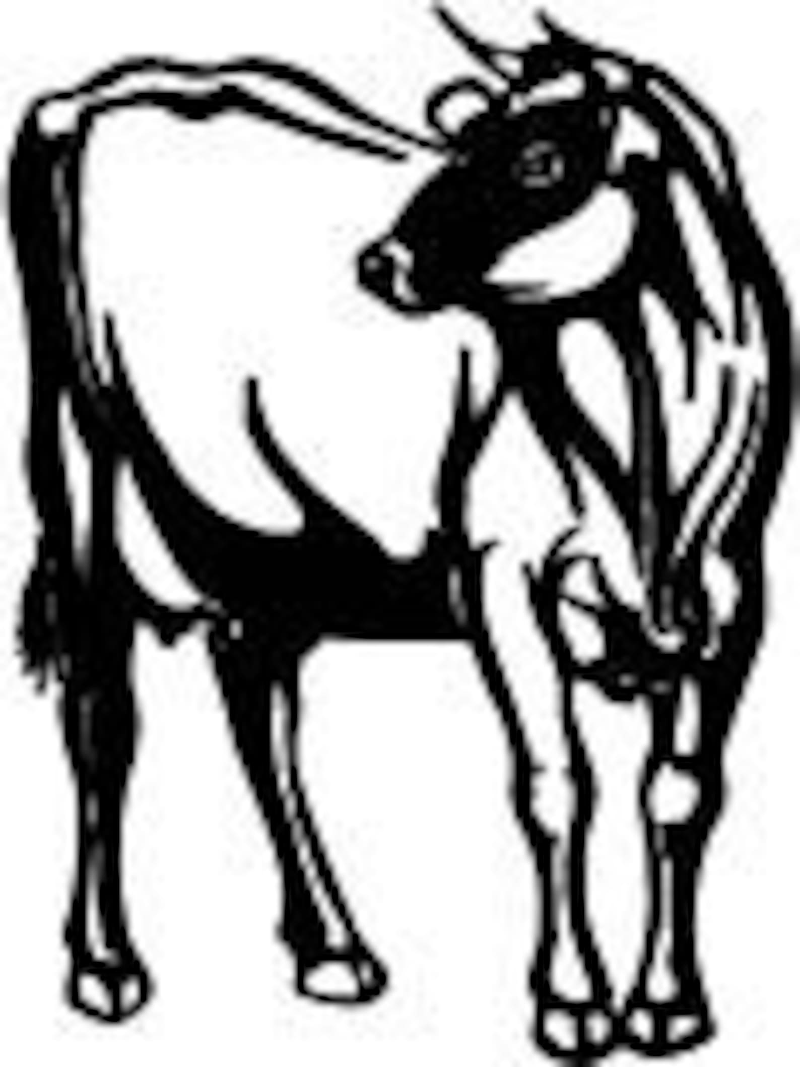 Cow Bundle, SVG, PNG, DXF - Etsy