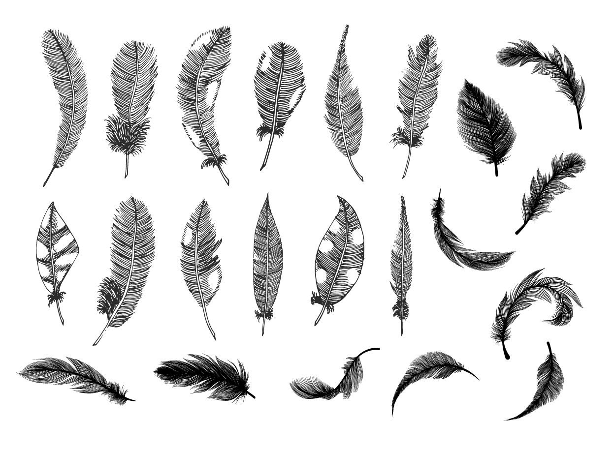 Feather Bundle SVG PNG DXF - Etsy