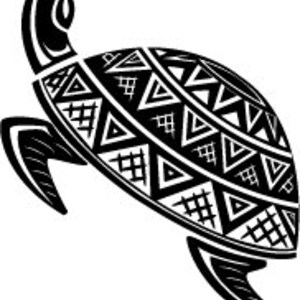Turtle Bundle, Aquatic, SVG, PNG, DXF - Etsy
