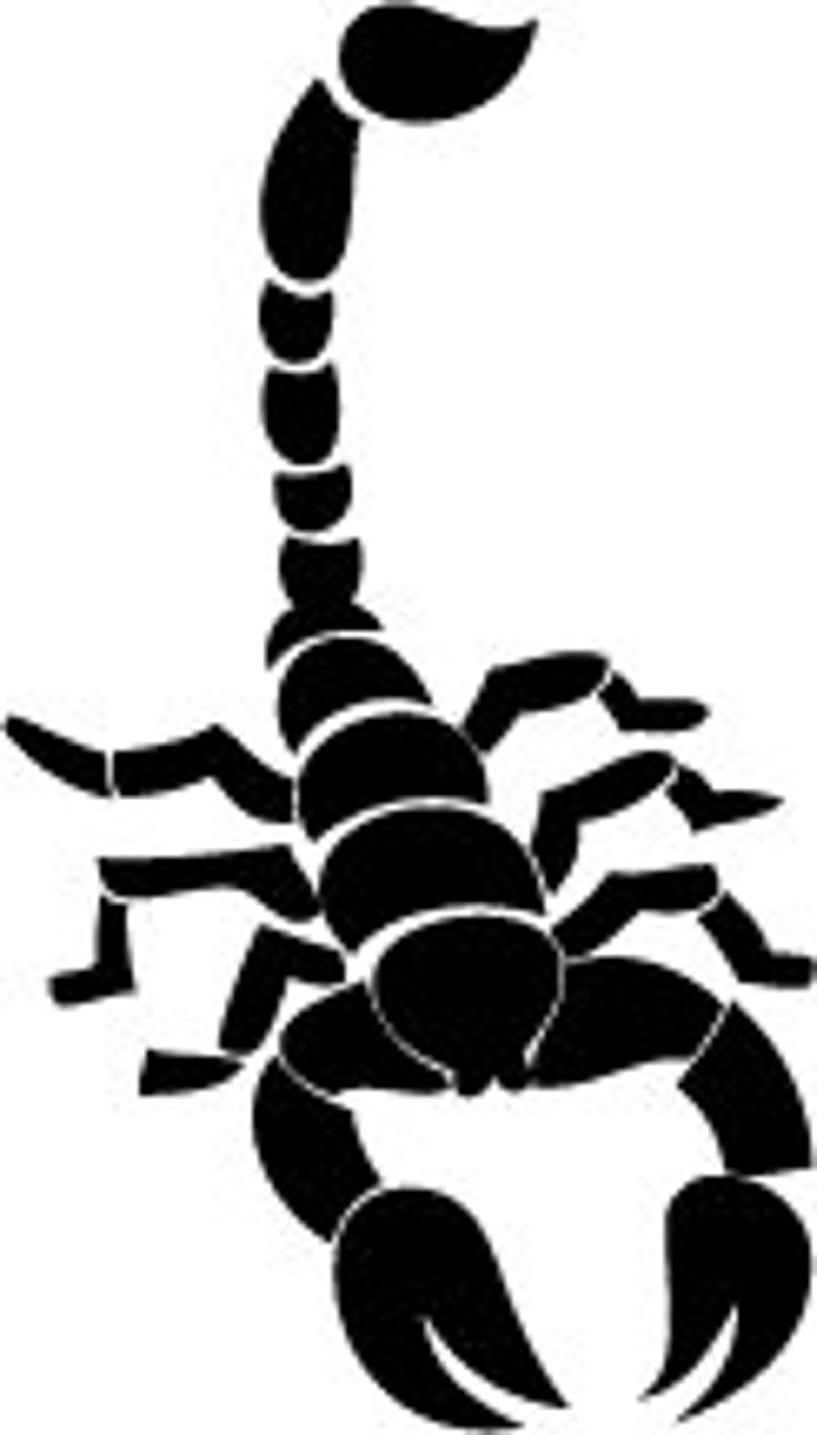 Scorpion Bundle, SVG, PNG, DXF - Etsy