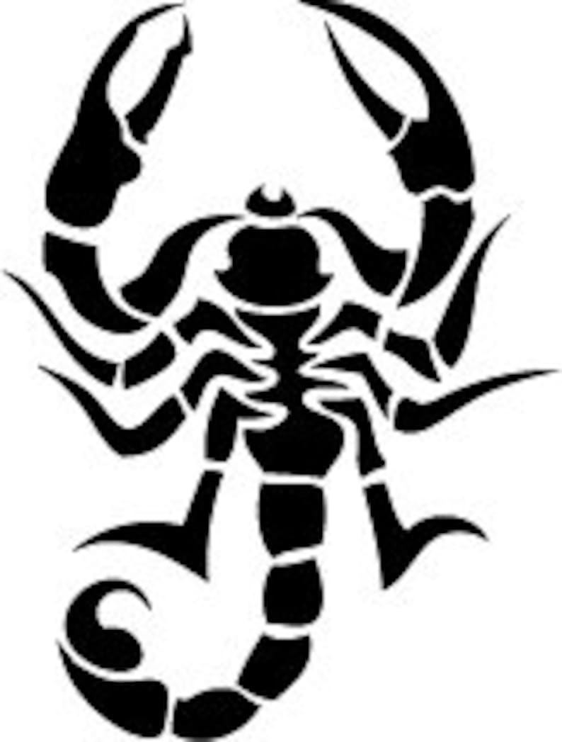 Scorpion Bundle, SVG, PNG, DXF - Etsy