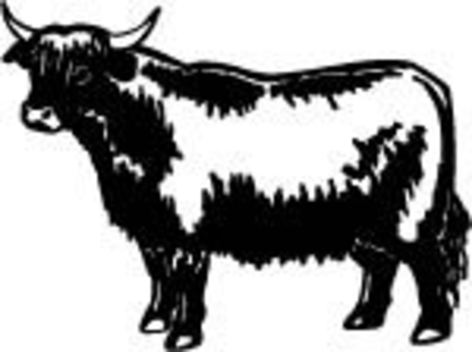Cow Bundle, SVG, PNG, DXF - Etsy