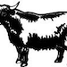 Cow Bundle, SVG, PNG, DXF - Etsy