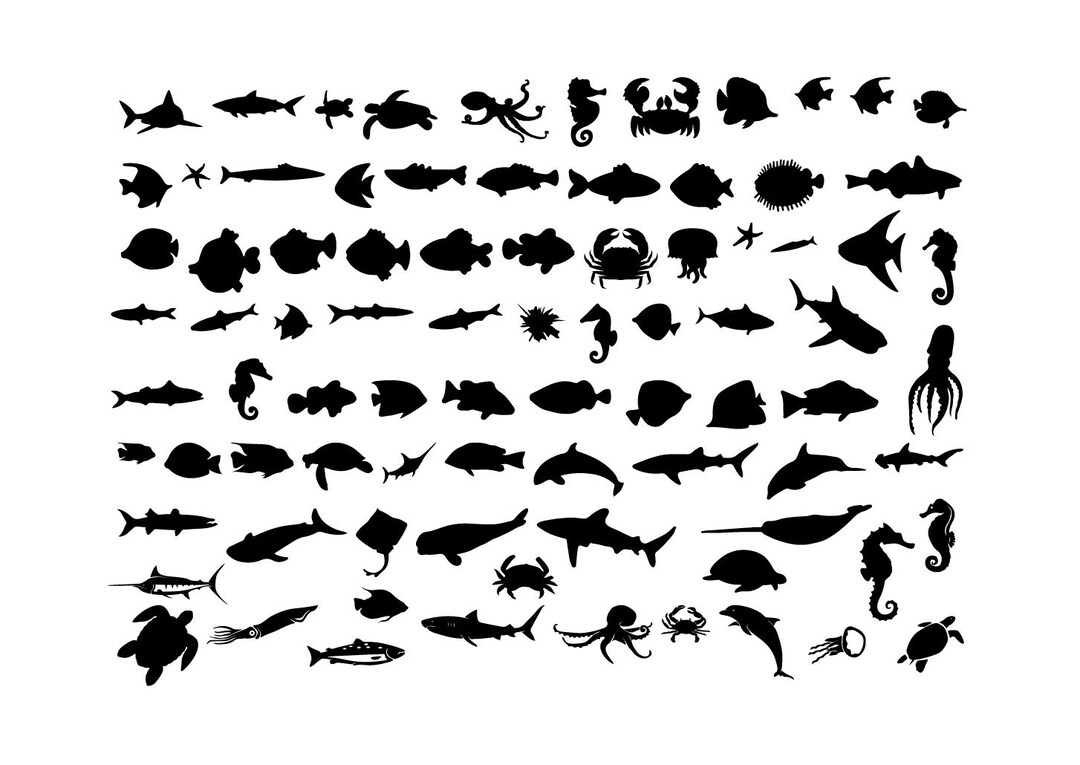 Ocean Animal Bundle, Octopus, SVG, PNG, DXF - Etsy