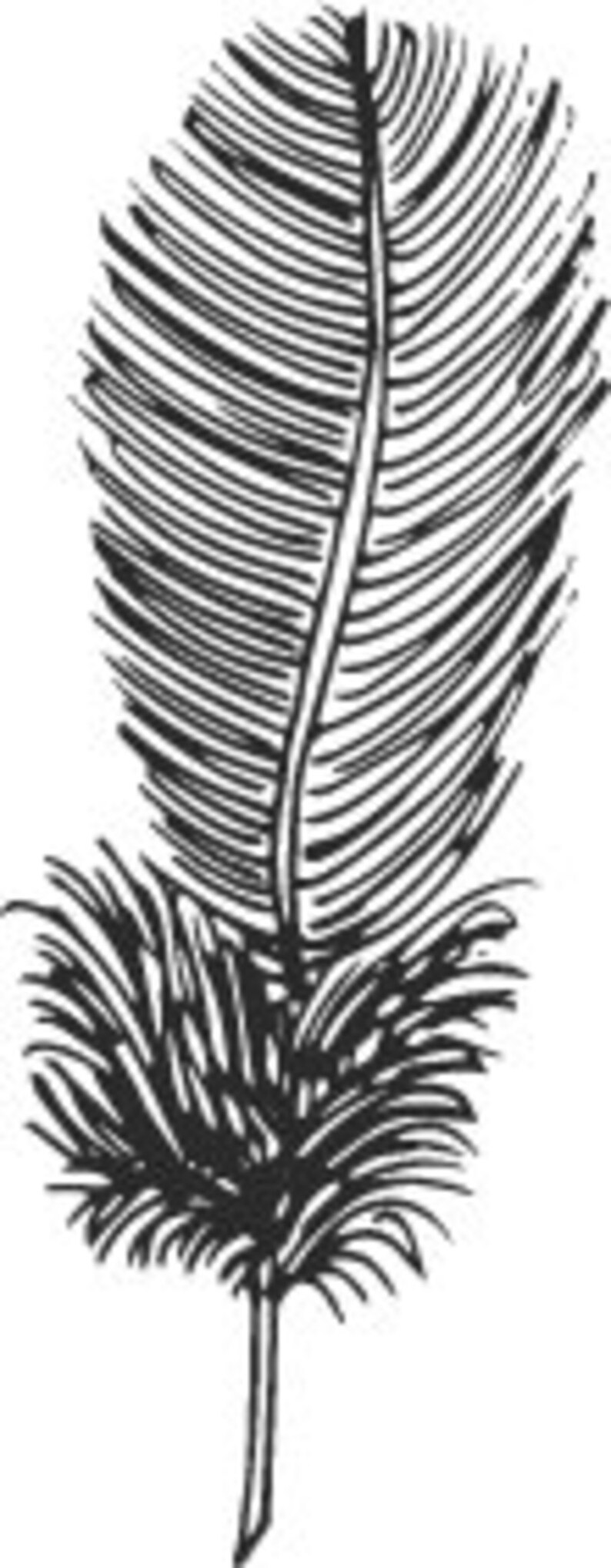 Feather Bundle SVG PNG DXF - Etsy