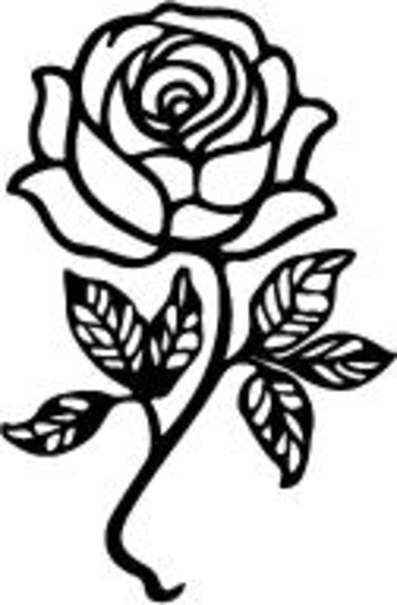 Rose Bundle, SVG, PNG, DXF - Etsy