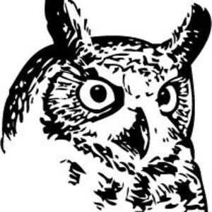 Owl Bundle, SVG, PNG, DXF - Etsy