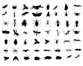 100 INSECTS SVG BUNDLE, Insect Png, Insect Clipart, Insect Vector ...