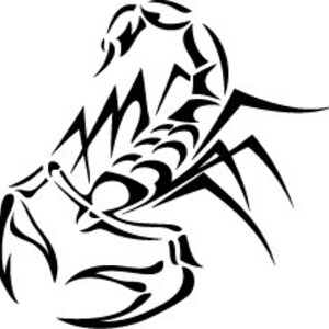 Scorpion Bundle, SVG, PNG, DXF - Etsy