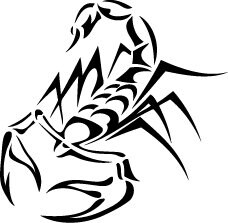 Scorpion Bundle, SVG, PNG, DXF - Etsy