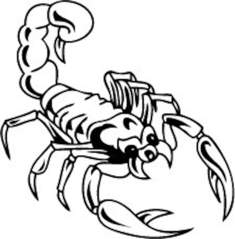 Scorpion Bundle, SVG, PNG, DXF - Etsy