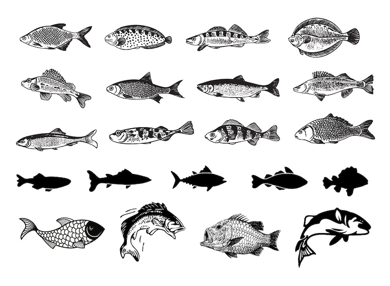 Fish Bundle SVG PNG DXF - Etsy
