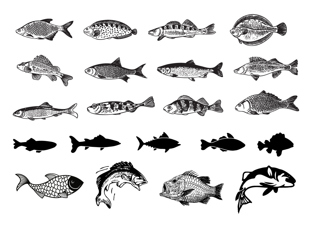 Fish Bundle SVG PNG DXF - Etsy