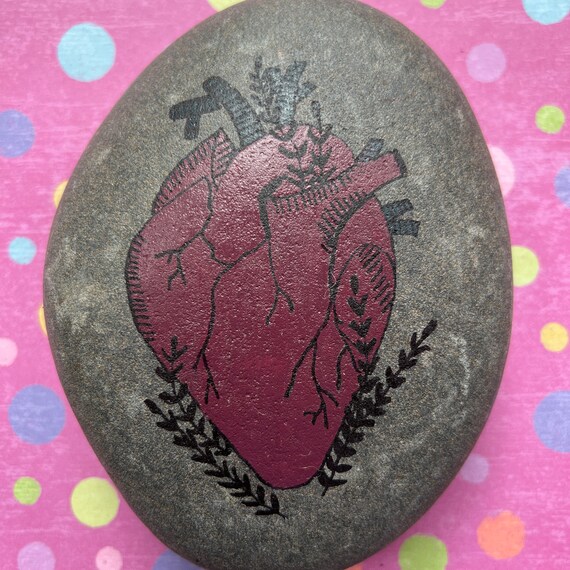 Anatomical Heart Painted Rock - Etsy