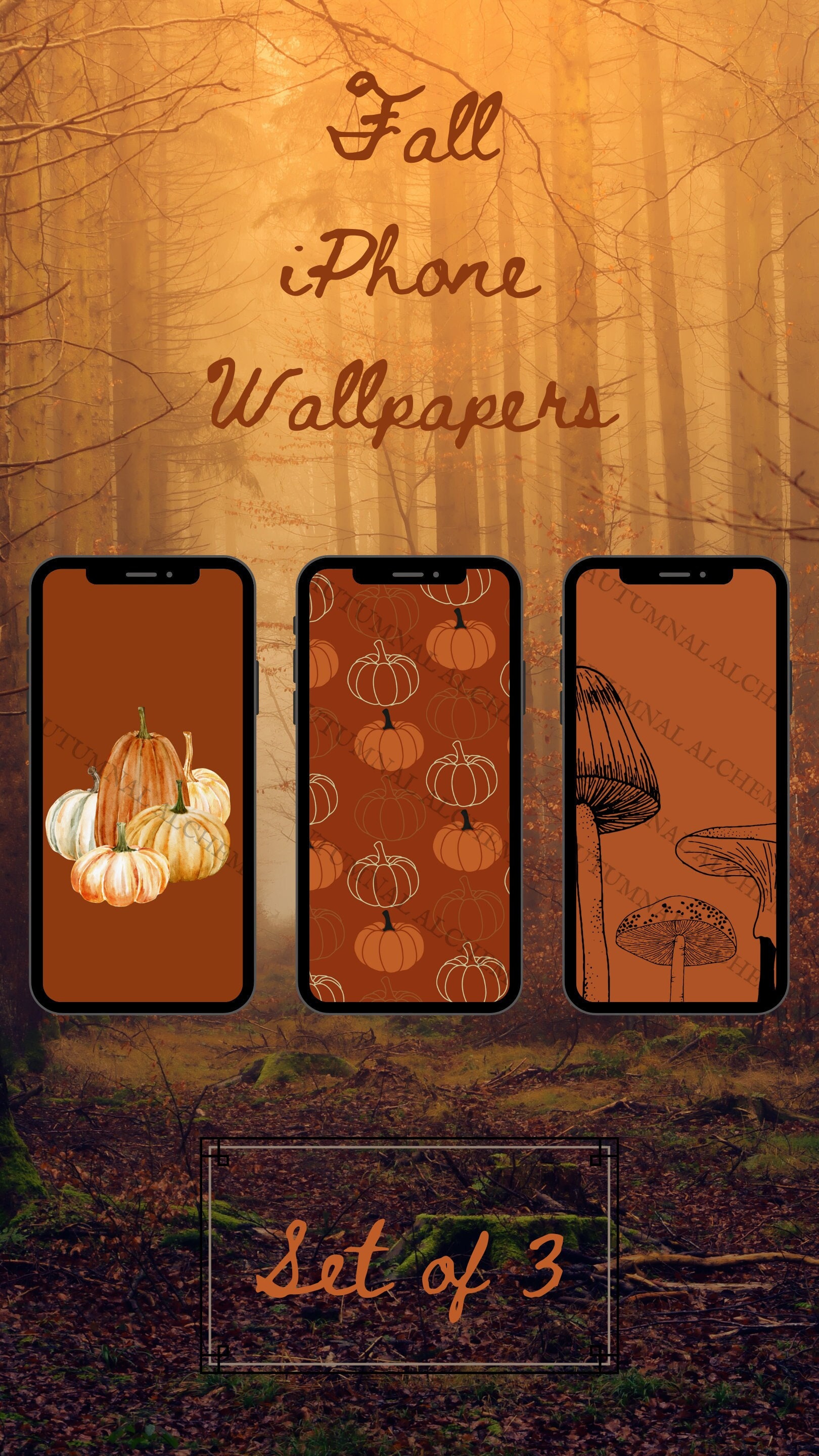 Fall iPhone Wallpapers - Autumn Halloween Theme Backgrounds - Set of 3 ...