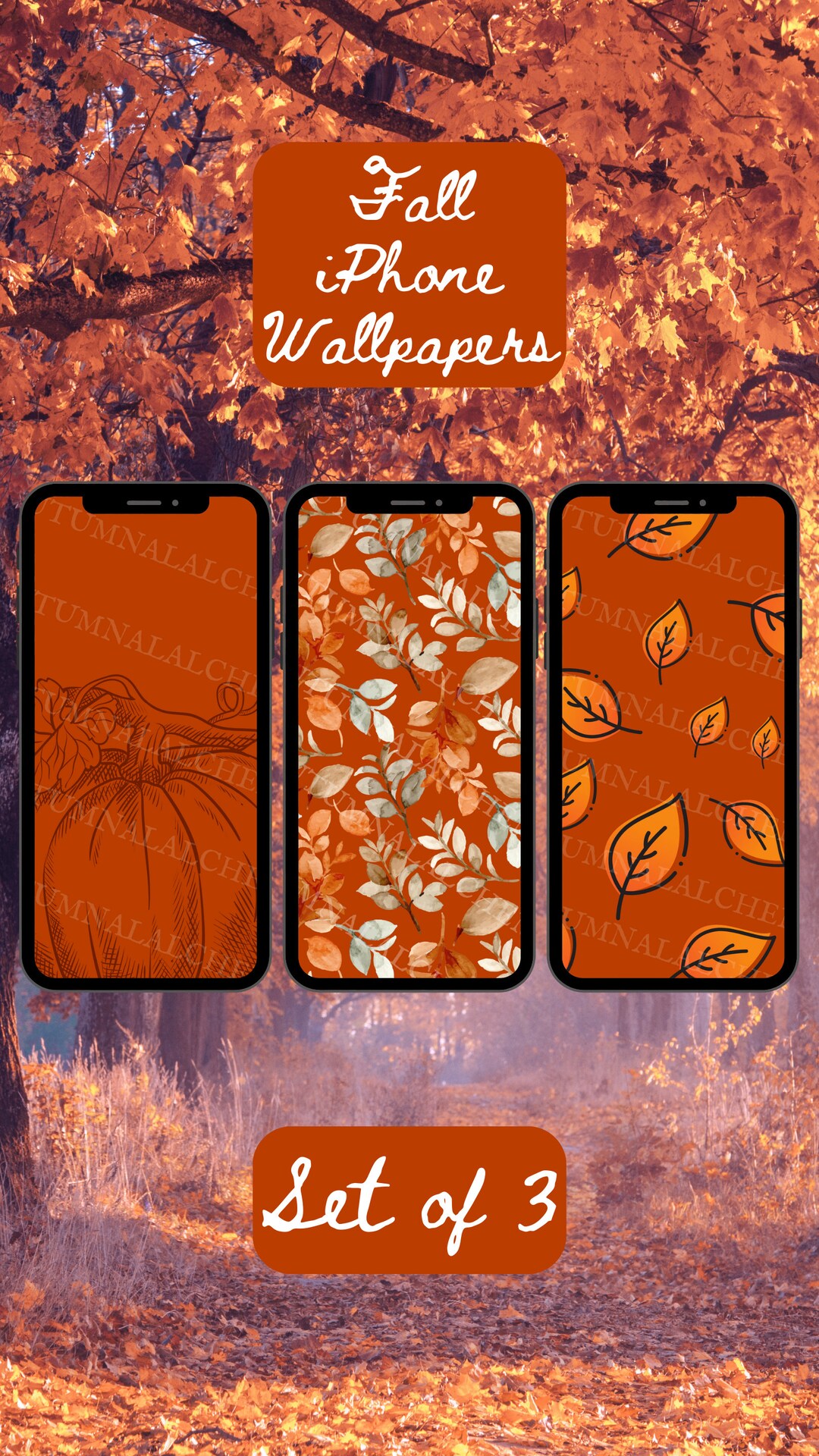 Fall iPhone Wallpapers - Autumn Witchy Halloween Theme Backgrounds ...