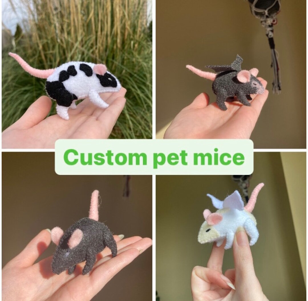 Custom Pet Mice - Etsy