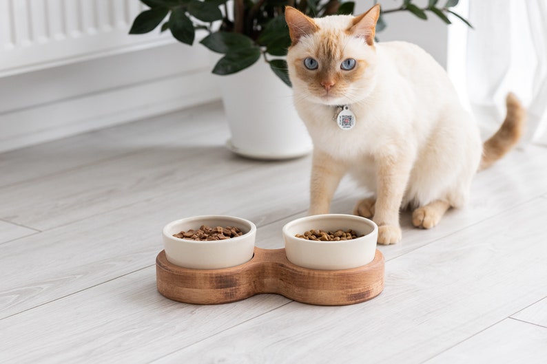 Raised Cat Bowls, Elevated Cat Bowls, Cat Bowls, Elevated Cat Dish, Cat ...