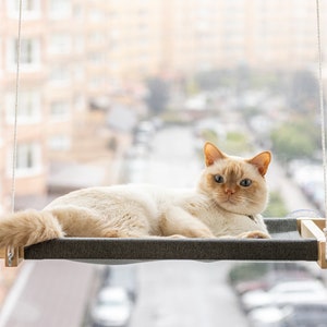 Cat Window Perch Cat Window Hammock Cat Window Ledge Cat - Etsy