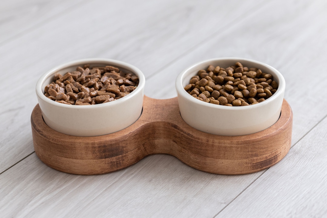 Raised Cat Bowls, Elevated Cat Bowls, Cat Bowls, Elevated Cat Dish, Cat ...