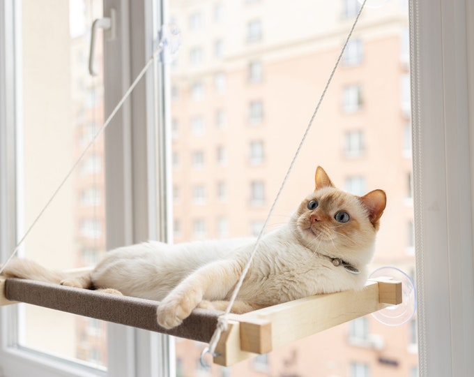 Cat Window Perch, Cat Window Hammock, Cat Window Ledge, Cat Window Bed ...