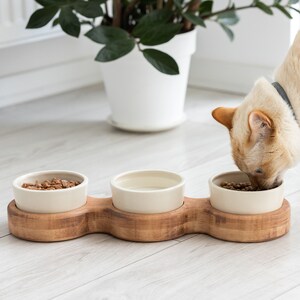 Raised Cat Bowls, Elevated Cat Bowls, Cat Bowls, Elevated Cat Dish, Cat ...