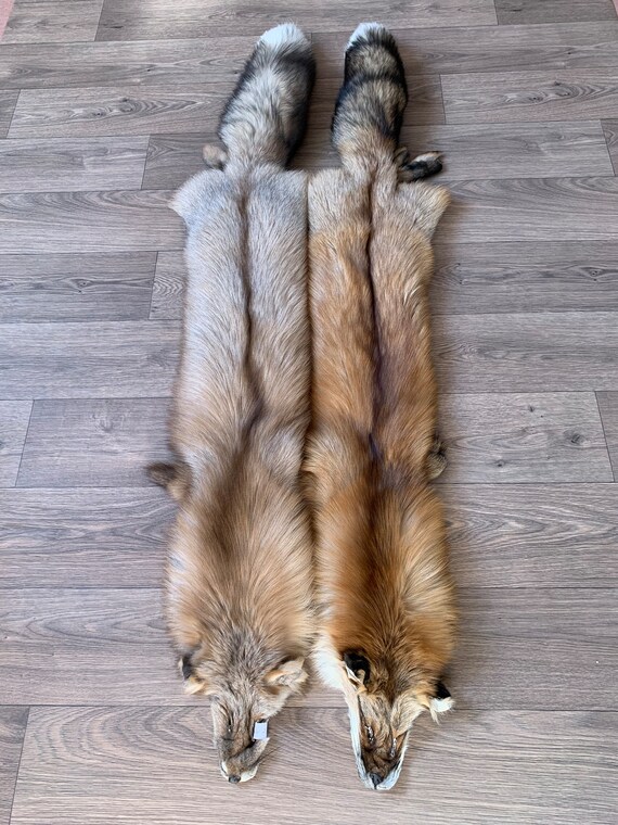 Pearl Gold Fox