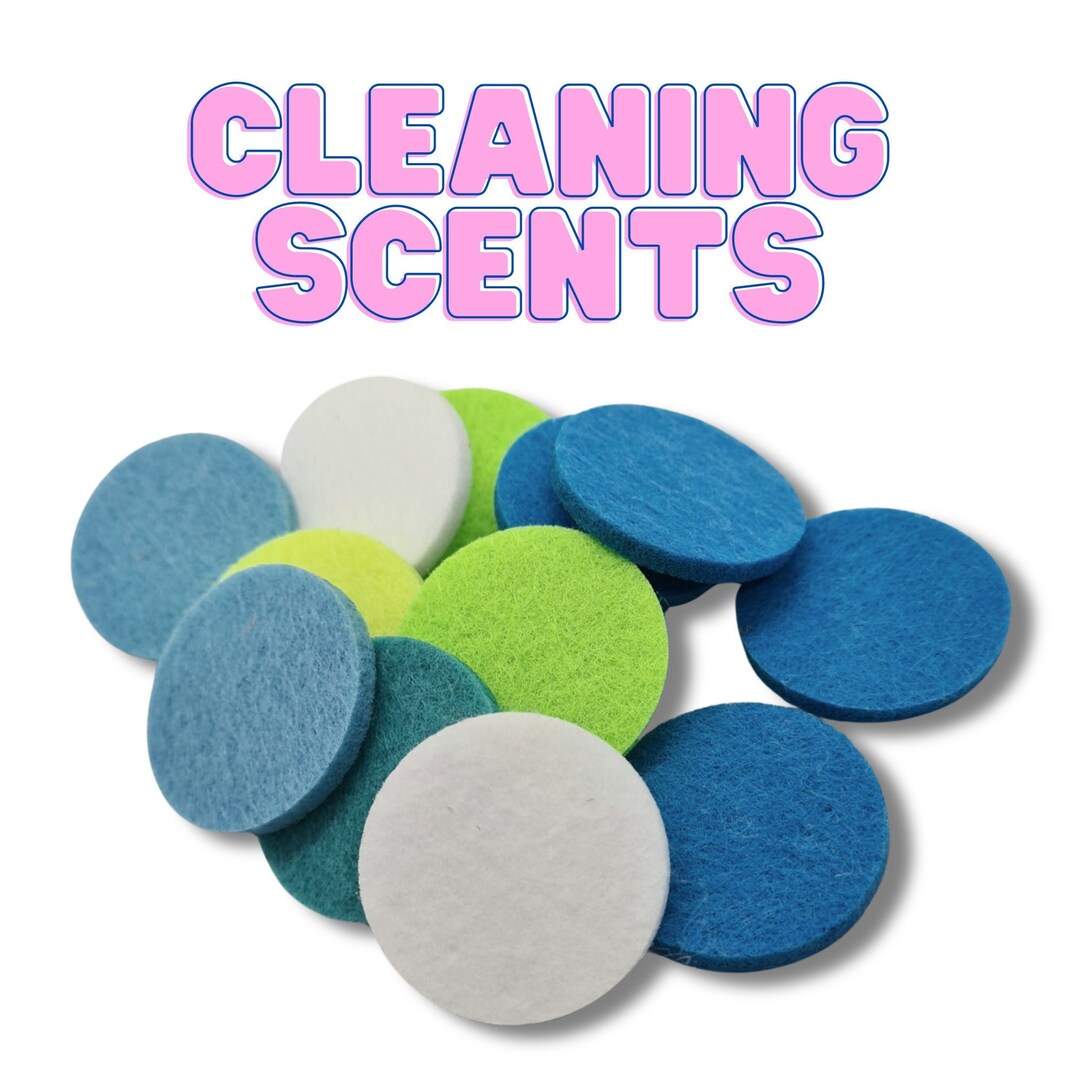 Cleaning Scented Vacuum / Hoover Discs Highly Fragranced Odour ...