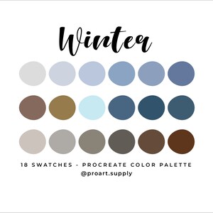 WINTER PROCREATE Color Palette Hex Codes Blue, Gray, Brown for iPad ...