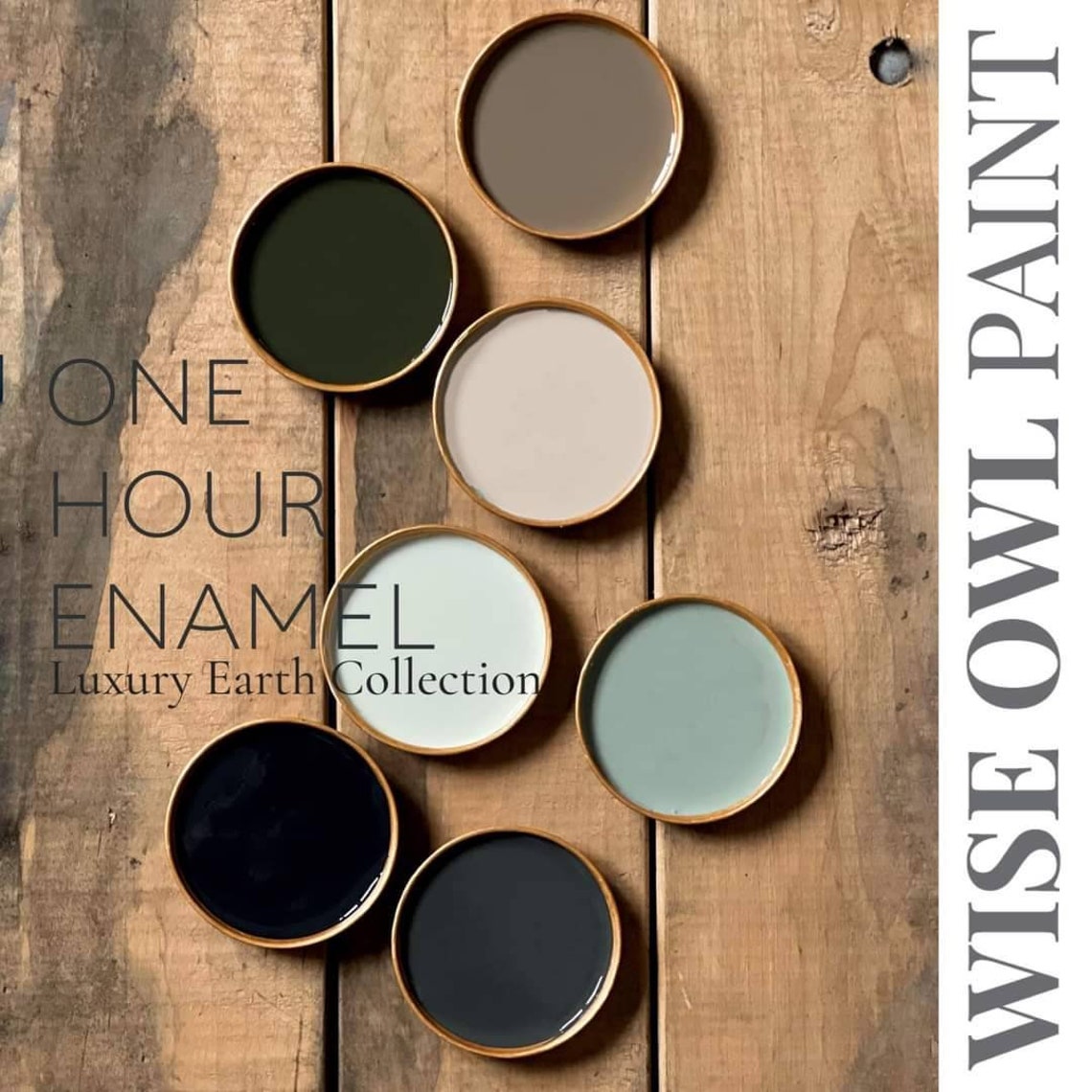 GALLON Wise Owl One Hour Enamel Paint OHE Cabinet Paint - Etsy
