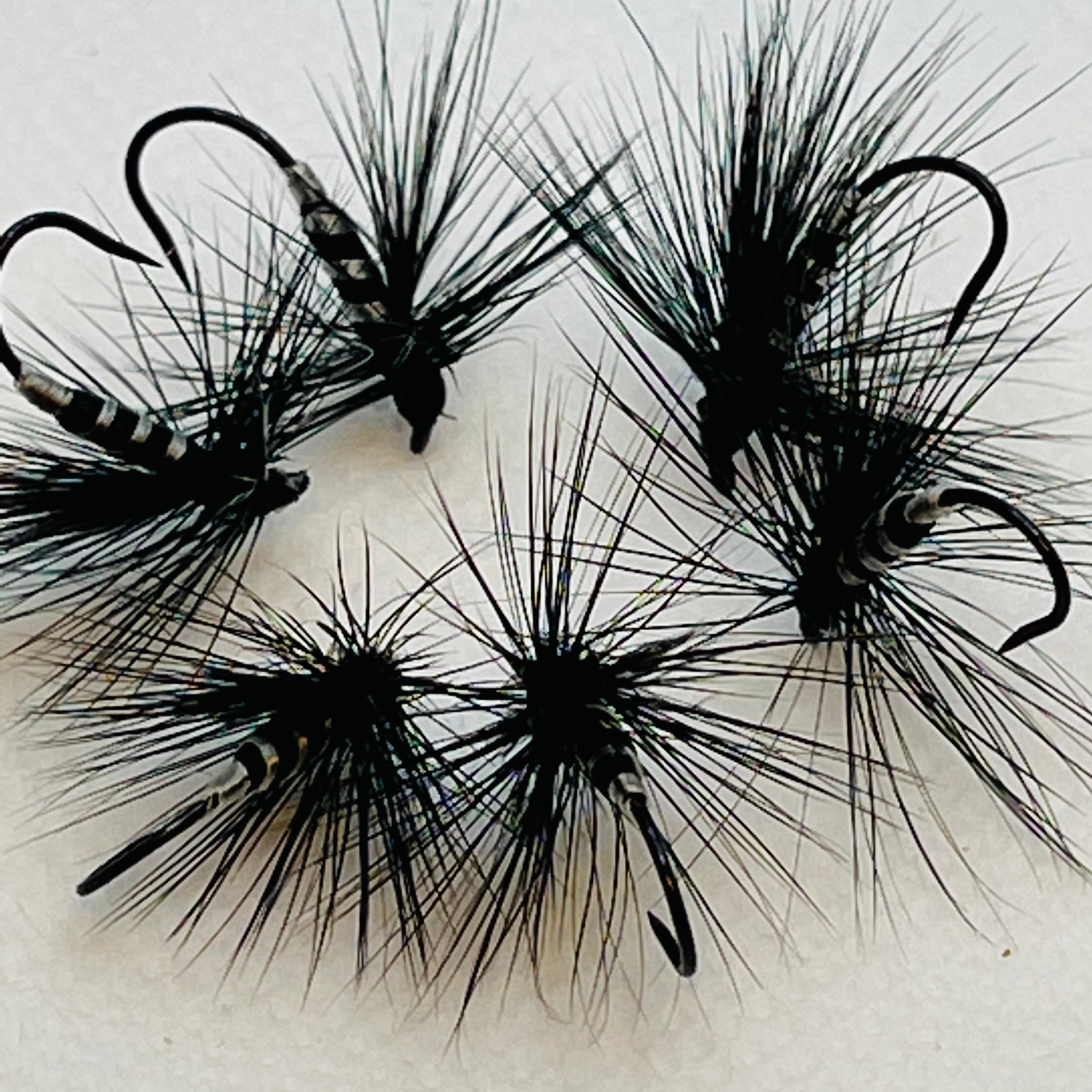 6 Black Spider Wet Flies Fly Fishing Hook 10 Hand Made Custom in USA - Etsy