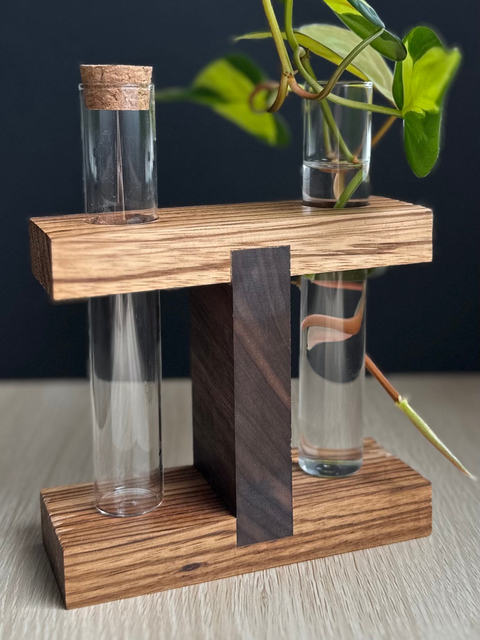 Handmade Propagation Station - Etsy Canada