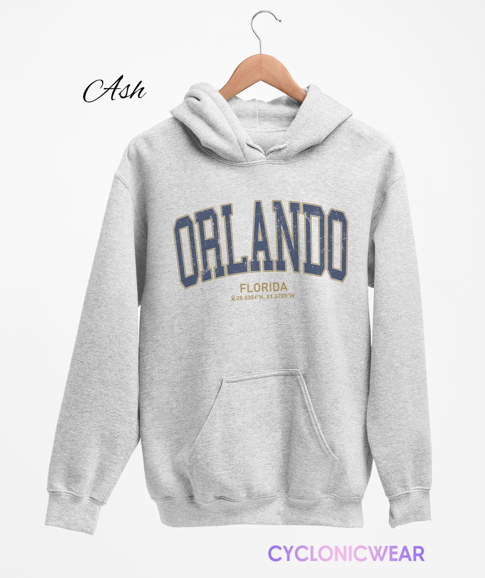 Vintage Orlando Florida Hoodie Orlando Vacation Family Travel - Etsy
