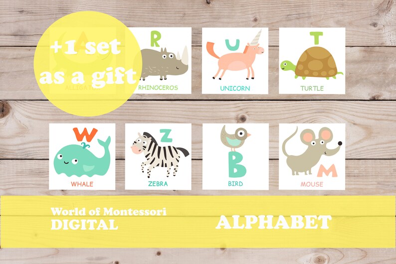 Tarjetas IMPRIMIBLES DEL ALFABETO MONTESSORI para estudiar en - Etsy México