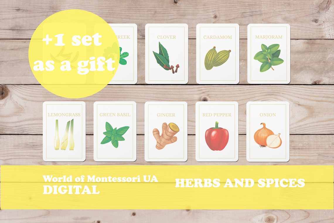HERBS AND SPICES Card Set. Montessori Cards. - Etsy