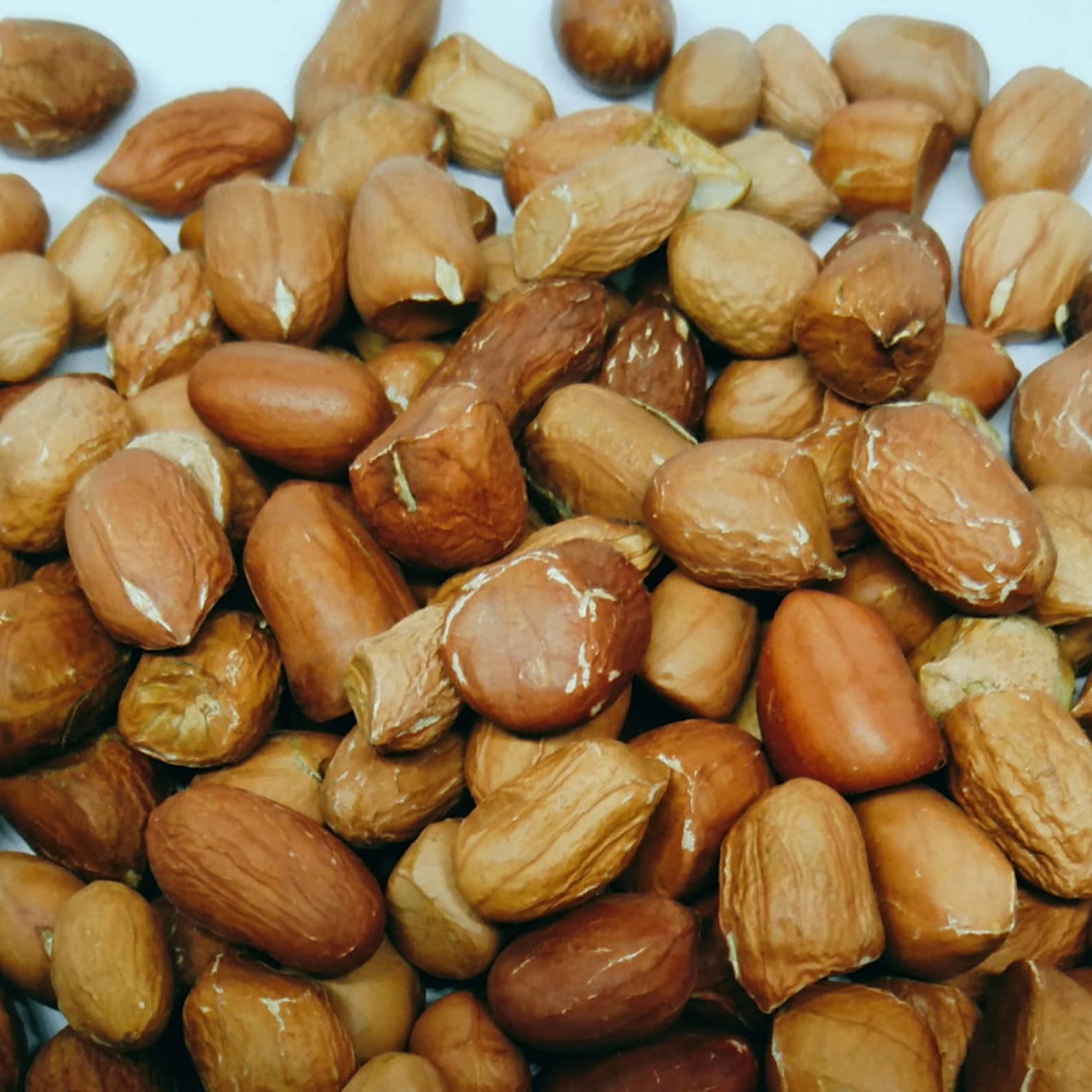 Unsalted Roasted Raw Peanuts Ground Nuts Jimbos Crunchies Ceylon Legume ...