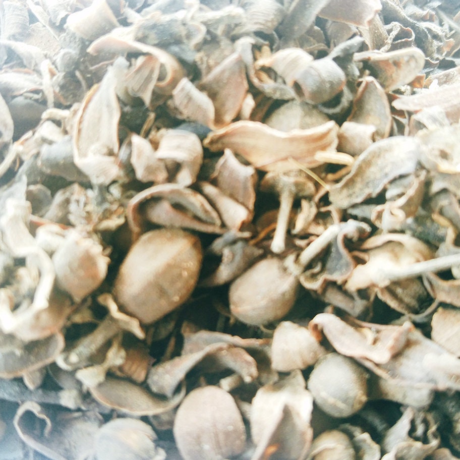 Tea Bael Herbal Flower Fruit Natural Ceylon Drink Dried - Etsy