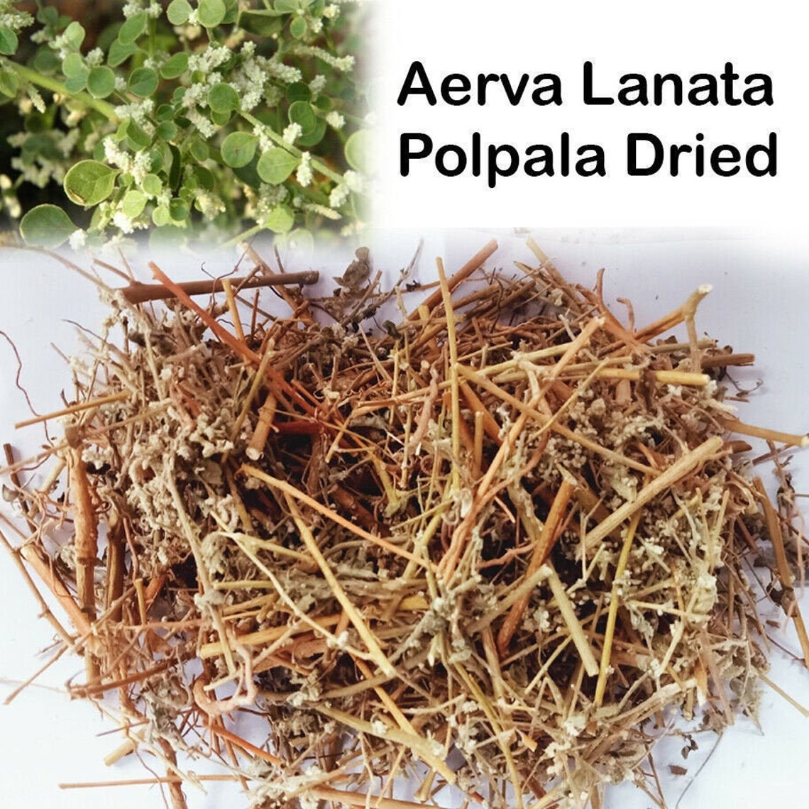 Dried Aerva Lanata Balipoovu Herbal Drink Tea Pol Pala 100% - Etsy