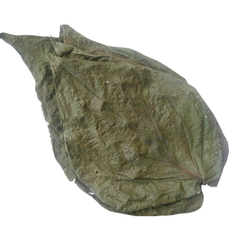 Organic Betel Leaves Freshly Air Dehydrate Herbal Leaf for Health Paan ...