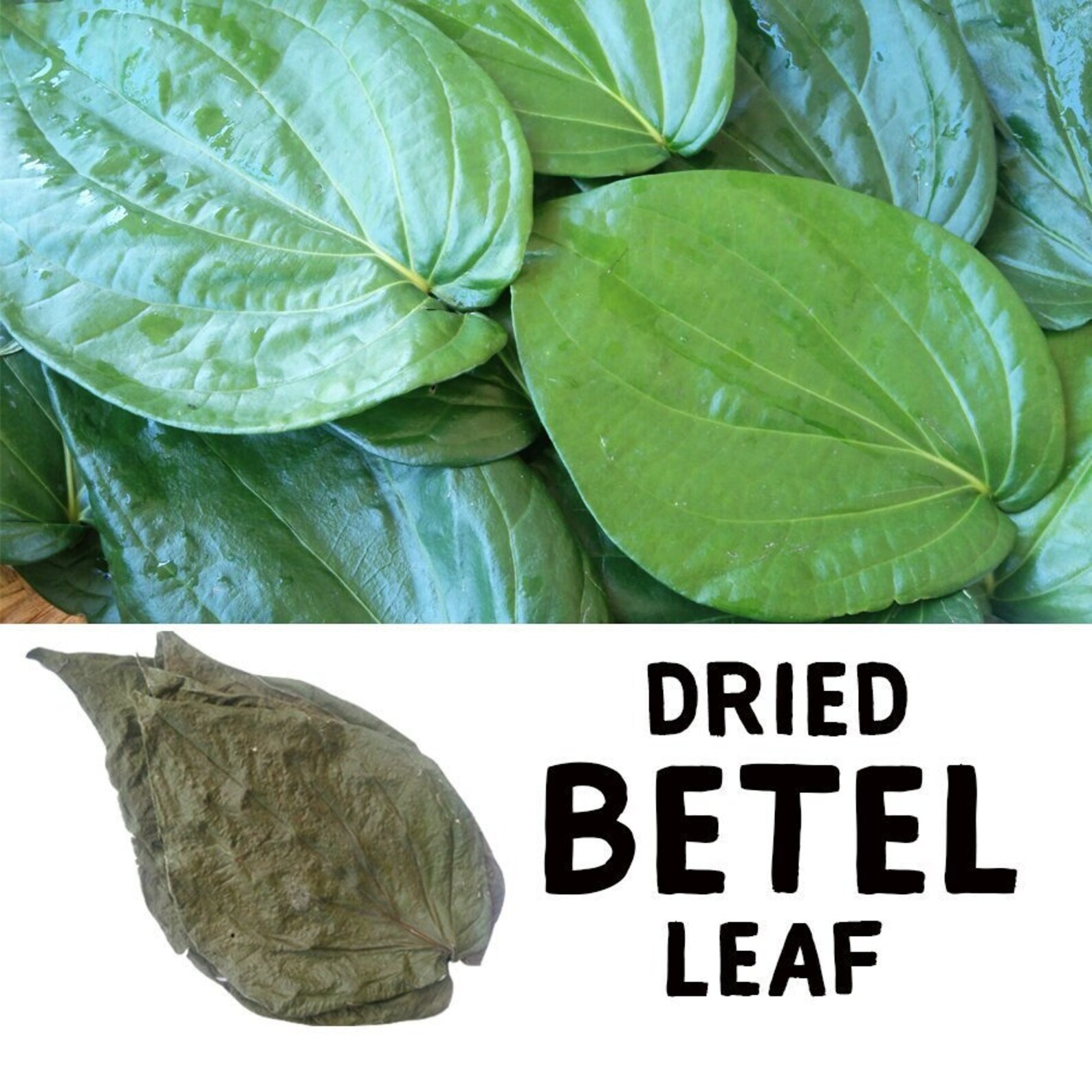 Organic Betel Leaves Freshly Air Dehydrate Herbal Leaf for Health Paan ...