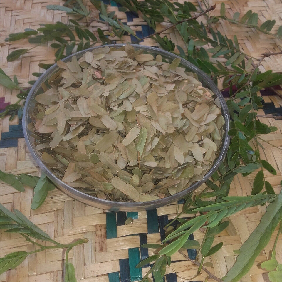 Dried Tamarind Leaves Powder Whole Tamarind Leaf Organic 100% Pure ...