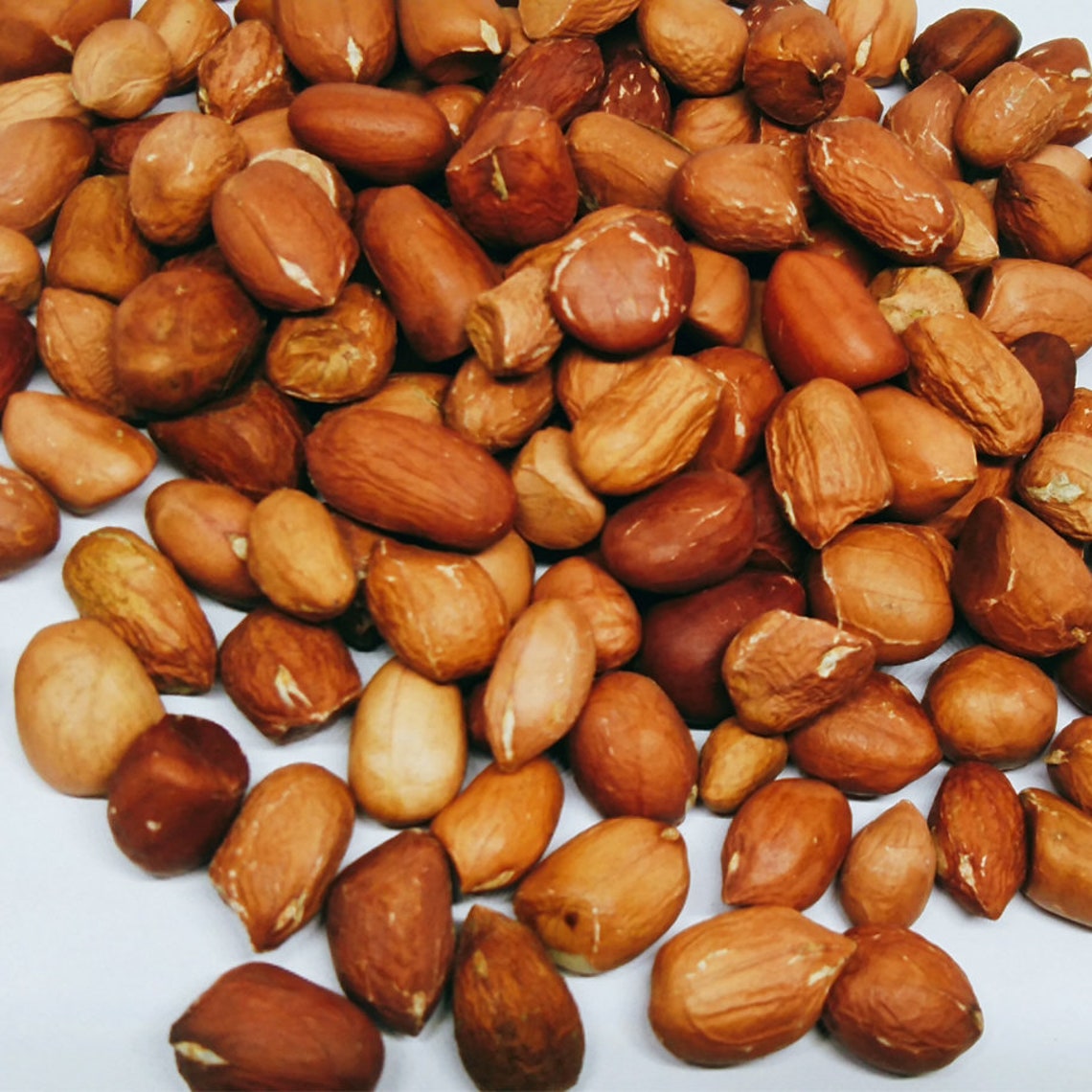 Unsalted Roasted Raw Peanuts Ground Nuts Jimbos Crunchies Ceylon Legume ...