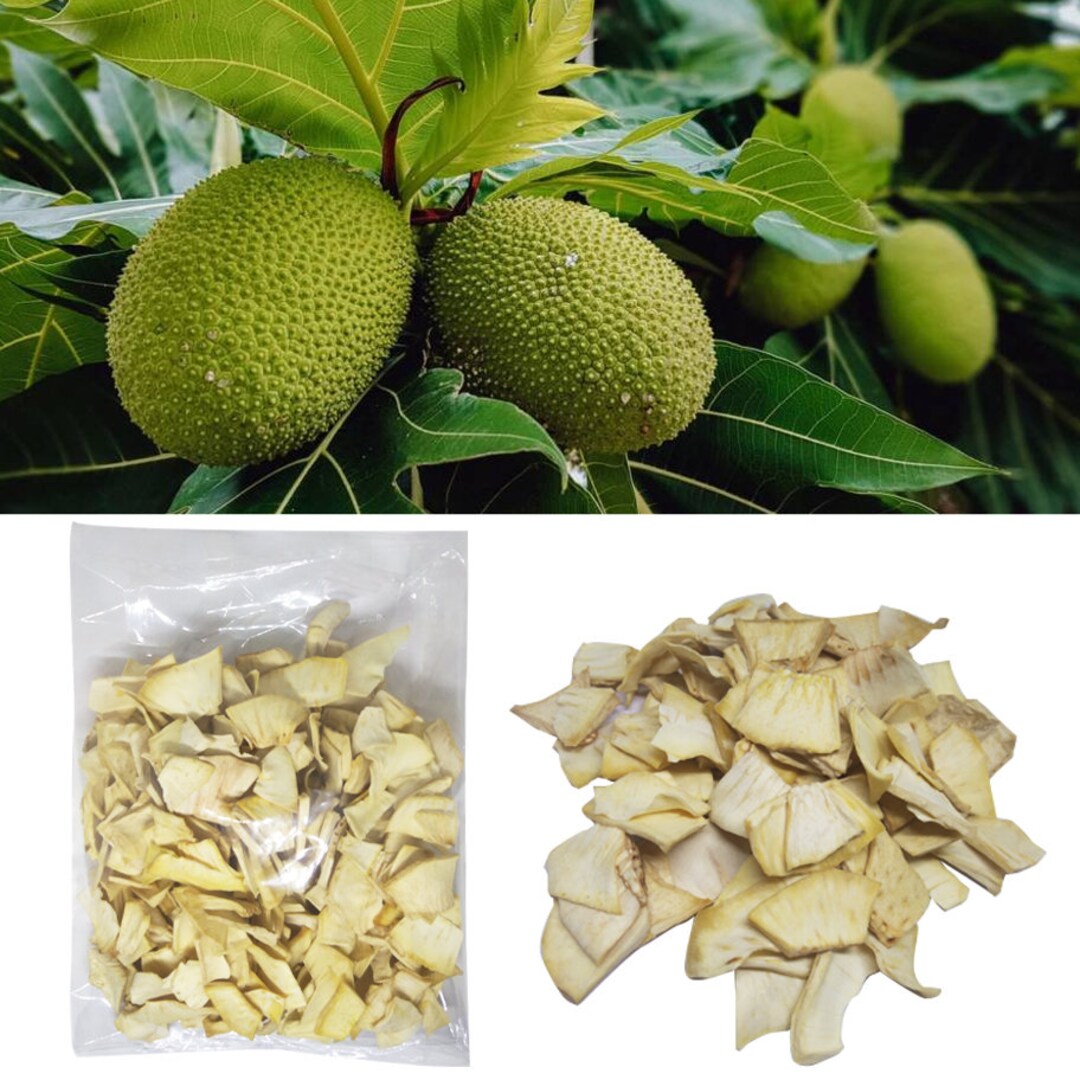 Breadfruit Chips-chippies Dehydrate No Preservatives Made Organic From Ceylon - Etsy
