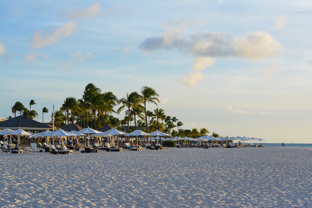 Aruban Beach Palm Resort Print, Sea & White Sand Landscape Photography ...