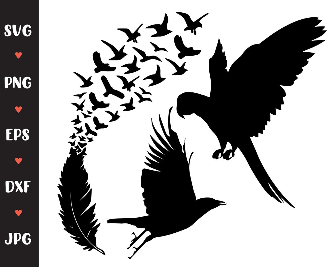 Birds Svg Feather Digital Files Svg Parrot Svg Animal T-shirt Zip Cut ...