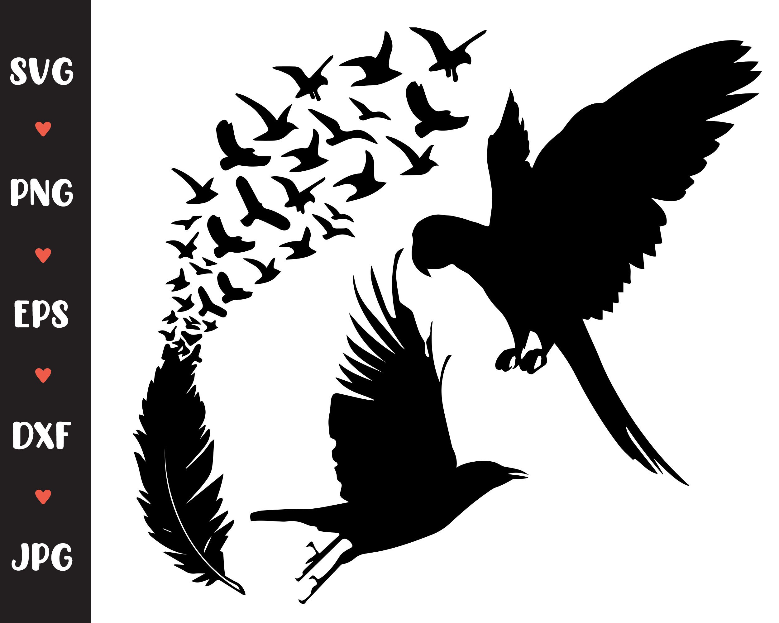 Birds Svg Feather Digital Files Svg Parrot Svg Animal T-shirt Zip Cut ...