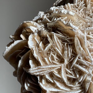 Large Desert Rose Selenite Cluster on Stand Rock Rose Sand Rose Crystal ...